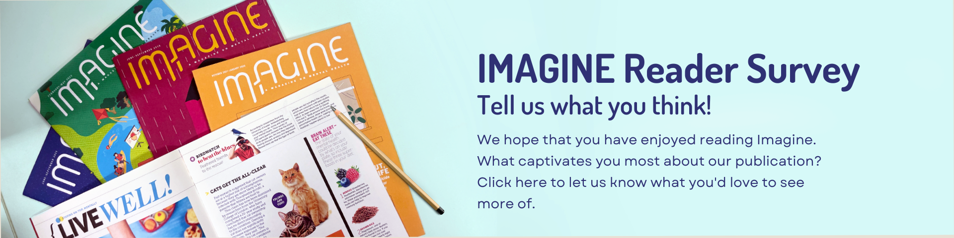 Home - IMH | Institute of Mental Health